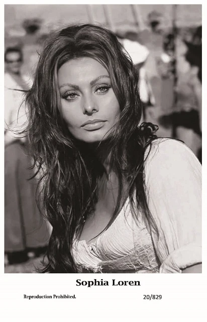 SOPHIA LOREN - Film star Pin Up PHOTO postcard - 20/427 Publisher Swiftsure Post EUR 4,99 ...