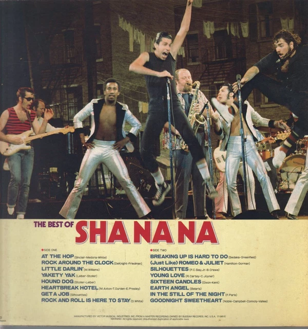 SHA NA NA Best of Sha Na Na LP vinyl Japan Buddah 1981 with insert. does not EUR 13,18 - PicClick FR