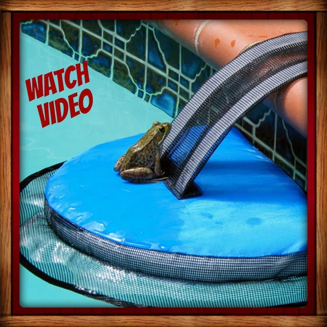 FROG LOG SWIMMING Pool Critter ESCAPE RAMP Device RESCUE SYSTEM Pool ...