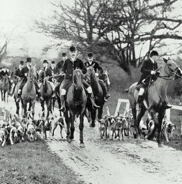 ARTICLE PHOTO 1908 Enfield Chace Staghounds Meet Master Daniel Bulger ...