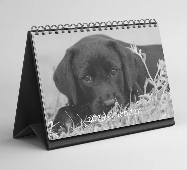BLACK LABRADOR DESK Calendar 2025: Standing Flip Desktop Calendar £14. ...