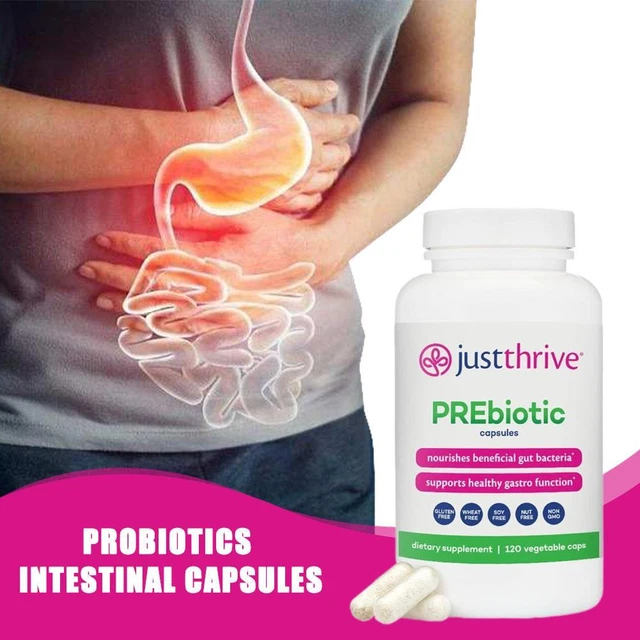 PROBIOTICS PREBIOTICS CAPSULES - Gastrointestinal and Immune Support ...