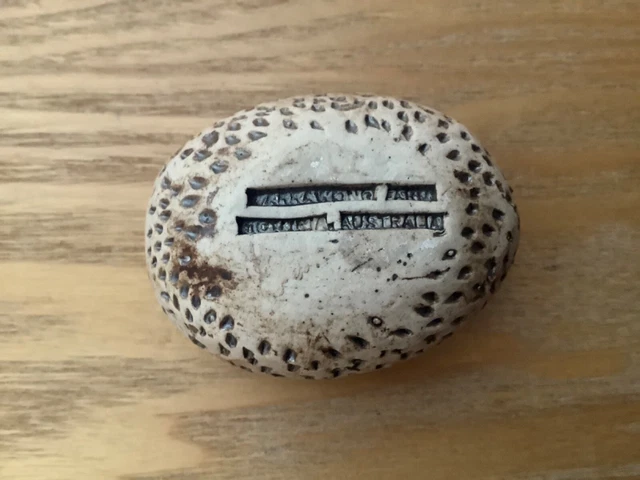 CUTE WARRAWONG FARM pottery Echidna $12.00 - PicClick AU