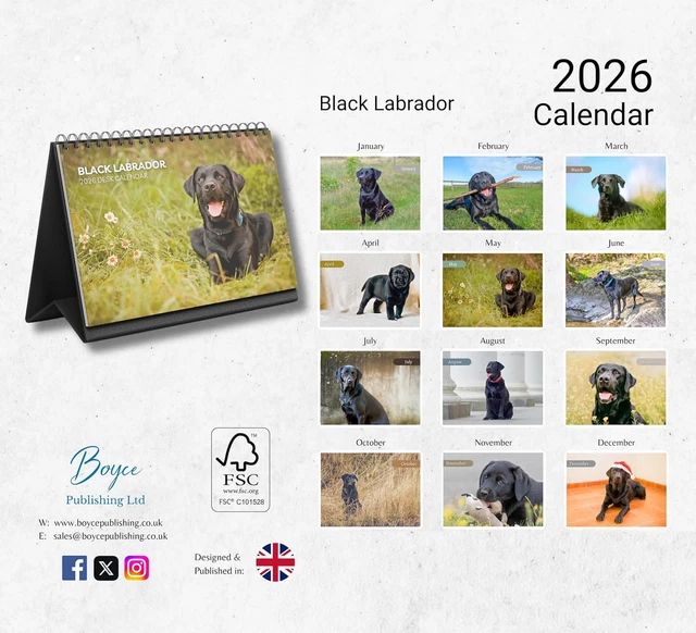 BLACK LABRADOR DESK Calendar 2026-2027: Standing Flip Desktop Calendar ...