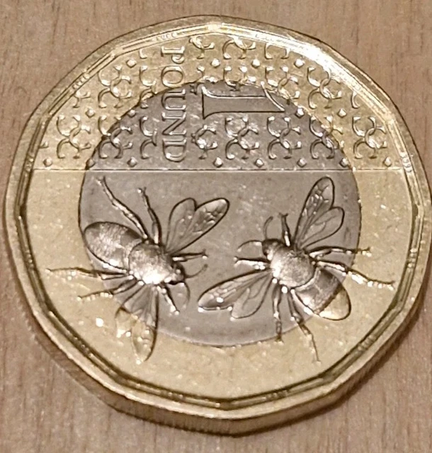 RARE £1 COIN 2025 King Charles Bee £2.21 - PicClick UK