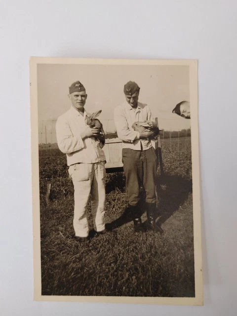 WW2 GERMAN WEHRMACHT army heer soldiers rabbits vintage Collectable ...