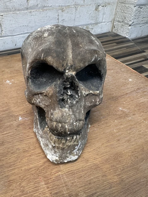 CLIVE BARKER NIGHTBREED Skull Prop From The Movie £104.72 - PicClick UK
