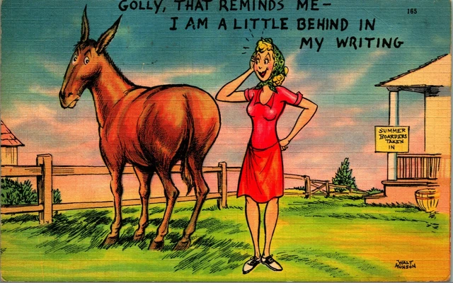 COMIC RISQUÉ A Little Behind In My Writing Horse Ass Linen Postcard E8 ...