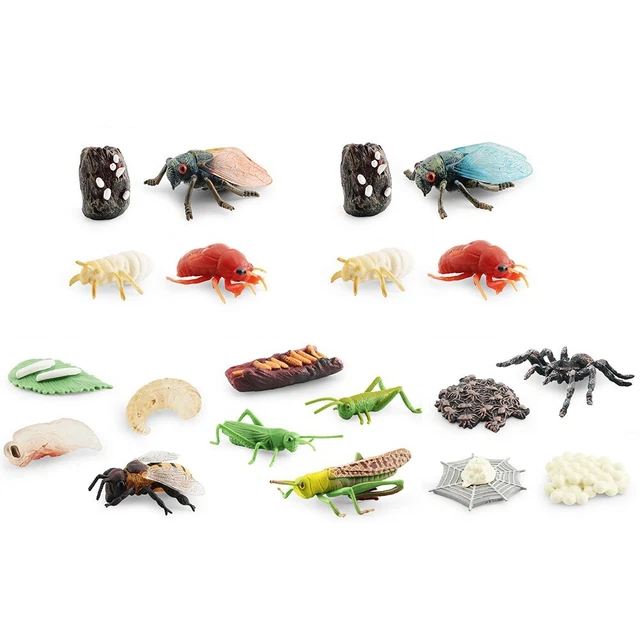 SIMULATION INSECT MODEL Spider Animals Growth Cycle Figure Educational ...