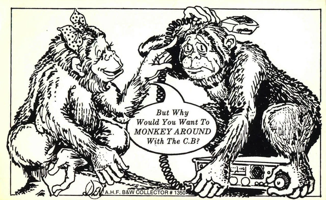 VINTAGE CB RADIO QSL postcard monkey ape gorilla comic 1970s Alberta ...