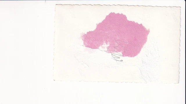 WW2 FOTO DR Elitesoldaten Das Reich Rusland Beute Panzer Tank T34 Toten ...