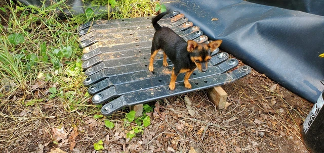 LOT OF 10 3 Point Hitch CAT 1 Lift Arm's for Compact Tractor 27.5 ...