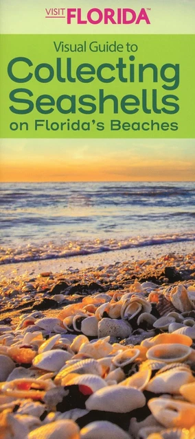 VISUAL GUIDE TO Collecting Seashells on Florida's Beaches $1.99 - PicClick