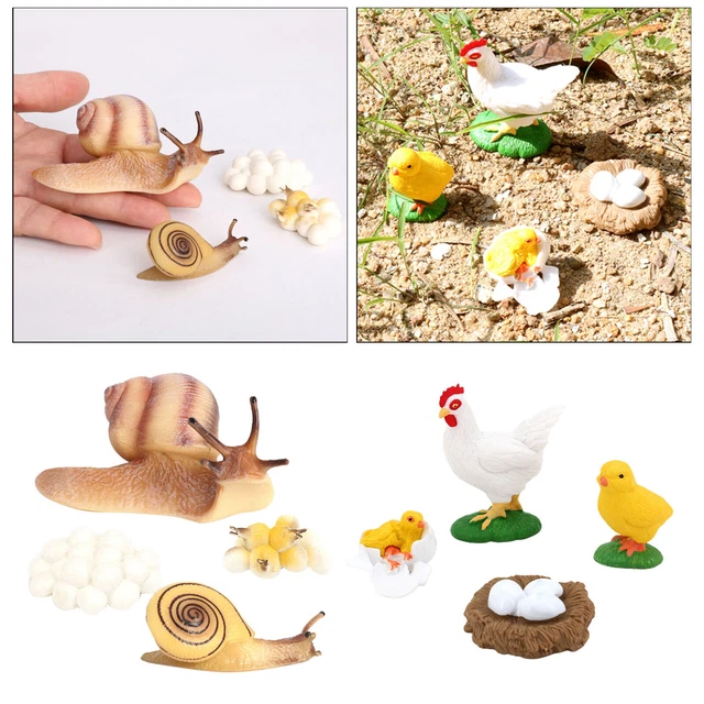 2 SET REALISTIC Life Cycle of Snail Hen Statue Model Kids Toys Role ...