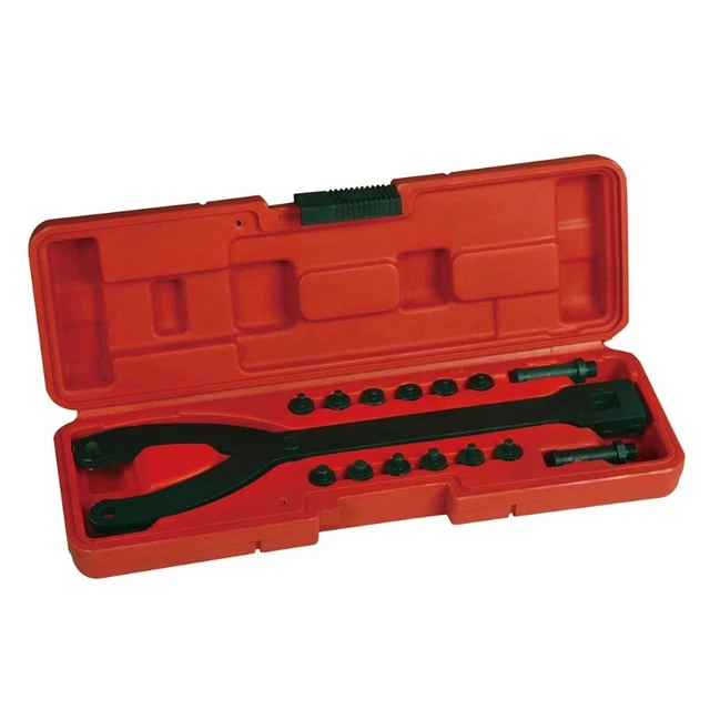 VARIABLE CYLINDER SPANNER Wrench Set 15Pcs Adjustable Pin Spanner ...