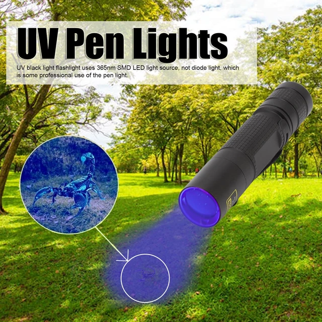 UV BLACK LIGHT Flashlight Portable Mini Blacklight Ultraviolet Pen Lights £10.24 - PicClick UK