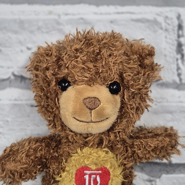 ONE DIRECTION 6.5& Teddy Bear Soft Toy Plush Ultimate Fans Club 1D ...