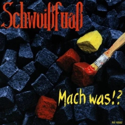 SCHWOISSFUASS MACH WAS!? (CD) EUR 29,17 - PicClick FR