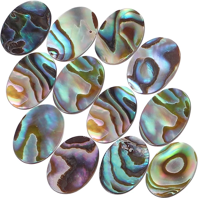 12 PCS CIRCLE Abalone Shells Jewelry Parts Assorted Charms for Making ...
