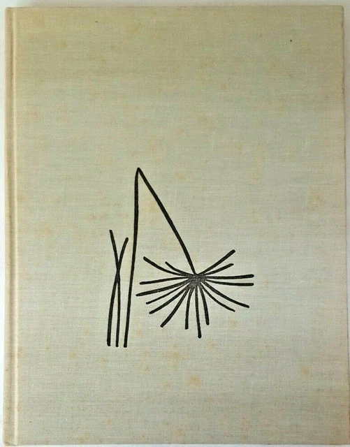 LA MORTE DEL lago - Foto della valle di Hula Israele vintage Peter ...