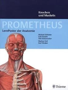 PROMETHEUS LERNPOSTER DER Anatomie, Knochen und Muskeln ... | Buch ...