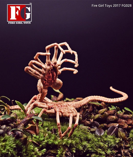 1/6TH CHESTBURSTER PREDATOR Alien Facehugge Scene Props FG028 Fit For ...