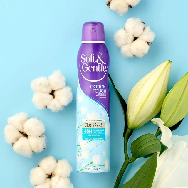 FRESH COTTON TALC Free Cotton Body Powder 250G + Cotton Touch Anti ...