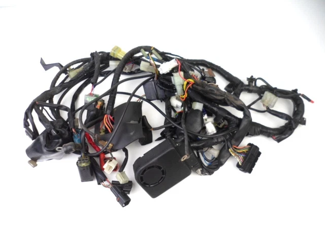 1B38259000 SYSTÈME DE Câbles De Câblage Électrique Original YAMAHA FZ6 2007 EUR 110,36 - PicClick FR