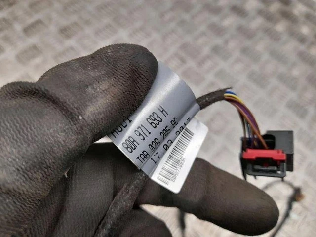 AUDI Q5 8R 80A971693H Câblage de La Porte Arrière Droite 2.00 Petrol ...