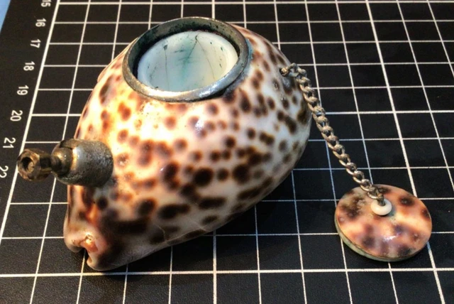 VINTAGE COLLECTABLE 1920'S Decorative Shell Inkwell $87.00 - PicClick AU