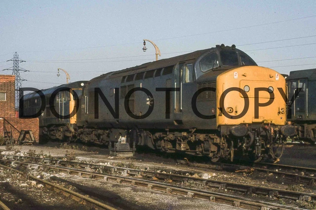 UK DIESEL TRAIN Railway Photograph Of Class 37 Loco 37136. Rm37-482 £1. ...