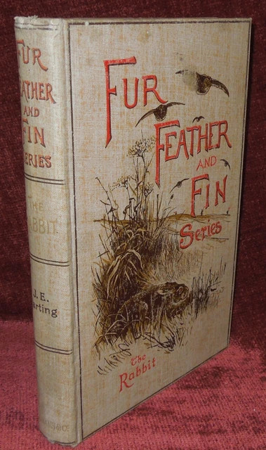 THE RABBIT BY James Edmund Harting Et Al - Fur Fin & Feather Series ...