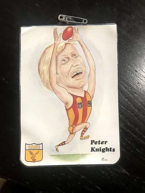 AFL VFL HAWTHORN Hawks Peter Knights Footy Pin On 1979 $44.00 - PicClick AU