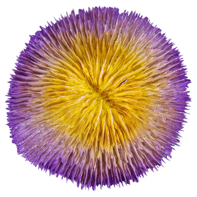 LANDSCAPING REEF ROCK for Saltwater Aquariums Decorations Aquatic ...