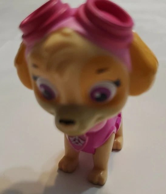 Skye Paw Patrol Costume Skye Paw Patrol Cake Nick Jr Paw Patrol Hot Sex Picture