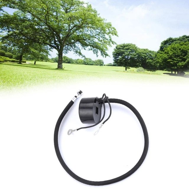 BOBINE D'ALLUMAGE PI CES de tondeuse bobine d'allumage de remplacement pour mot EUR 24,84 ...