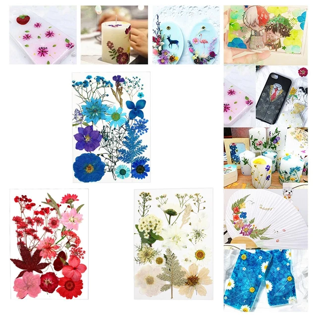 1 BAG DRIED Pressed Flowers Assorted Natural Flower Dry Leaves for ...