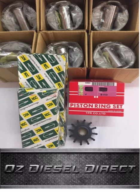 6LP 6LPS OVERHAUL Rebuild Kit for Yanmar 6LPA-STP2, 6LPA-STZP2, 6LPA ...