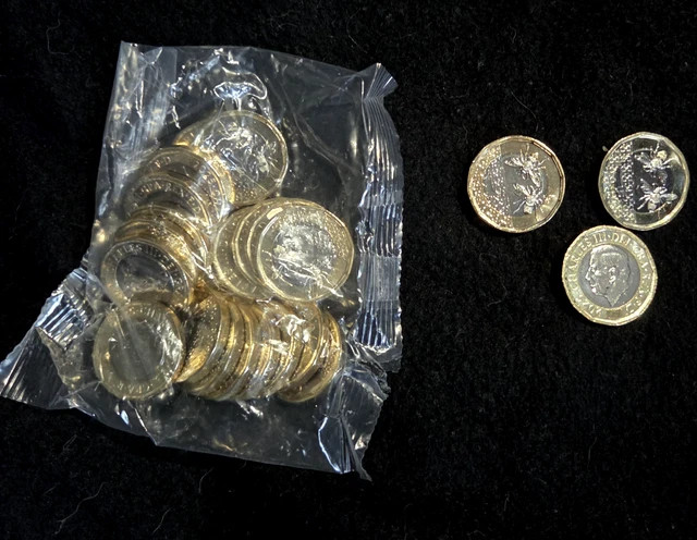 2025 £1 BEE coin-King Charles III- Rare UK Collectible £120.28 ...