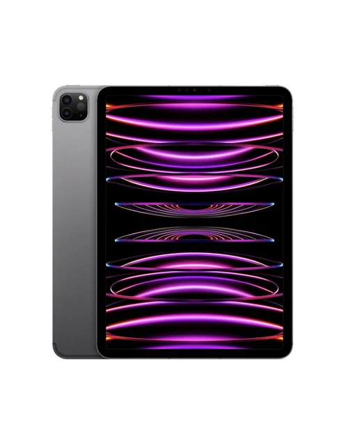 APPLE IPAD PRO 11 2022 4th gen - 256GB m2 Space Grey Wi-Fi £849.00 ...