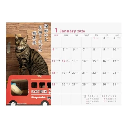 CALENDARIO 2026 GATTO Senryu (Desktop) EUR 30,74 - PicClick IT