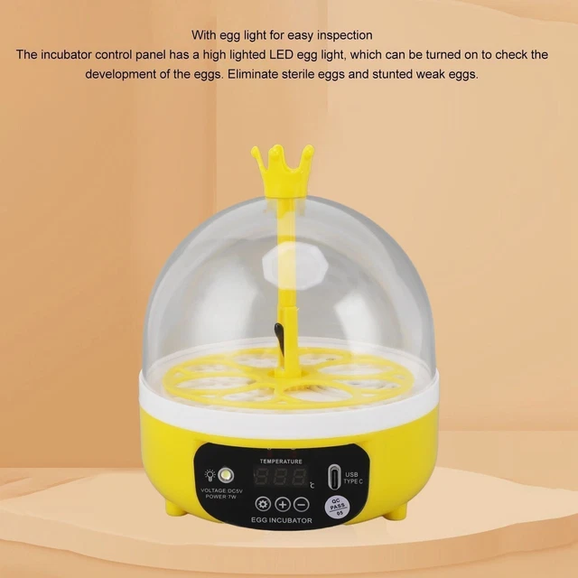 MINI EGG INCUBATOR for Home Automatic Temperature Humidity Control 4 ...
