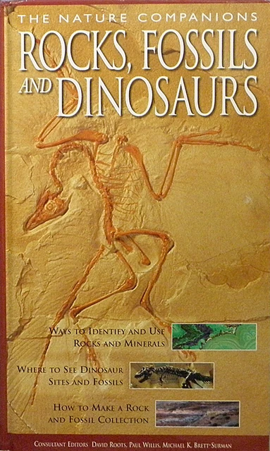 THE NATURE COMPANIONS: Rocks, Fossils And Dinosaurs (HB, 2002) EUR 35 ...