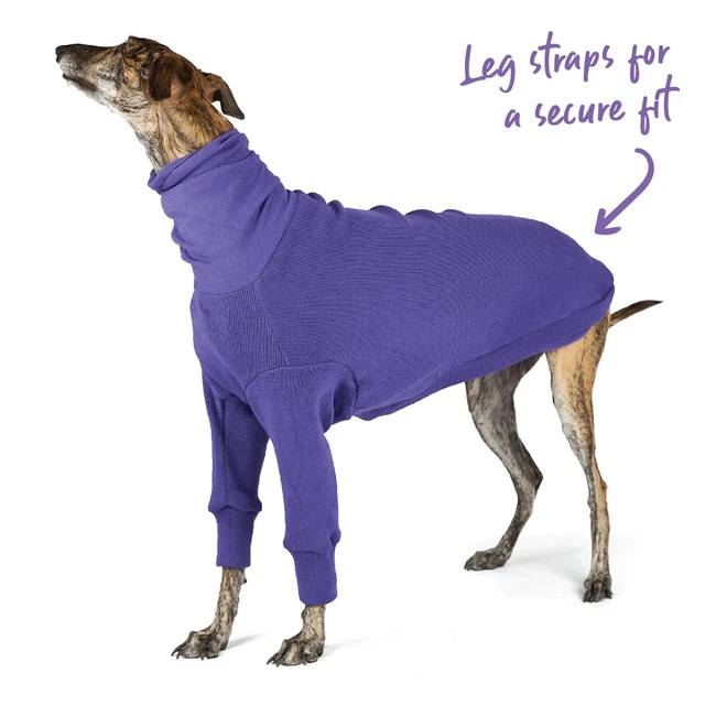 KAZOO PURPLE GREYHOUND Whippet Sighthound Stretch Jumper Dog Clothing ...