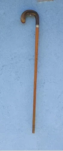 VINTAGE OLD WALKING stick, Cane cow horn handle Wood Bronze (Canada ...