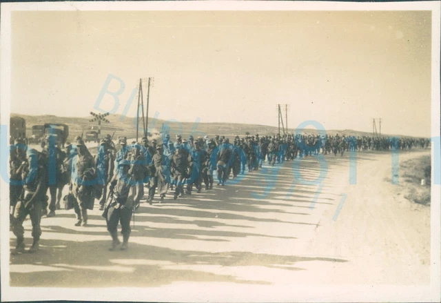 WW2 NORTH AFRICA British army Marching Column of POWs Photo 3.2x2.2 ...