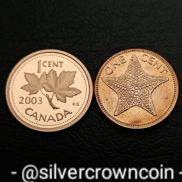 BAHAMA ISLANDS 1 Cent 1995. KM#59a. One Penny Coin. Starfish. Bahamas 🌟 ...