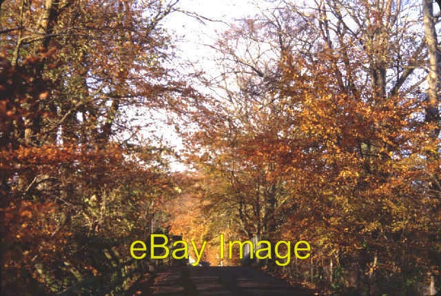 PHOTO 6X4 BRIDGE over the old Deeside Rlwy line on Pitfodels Station Rd ...