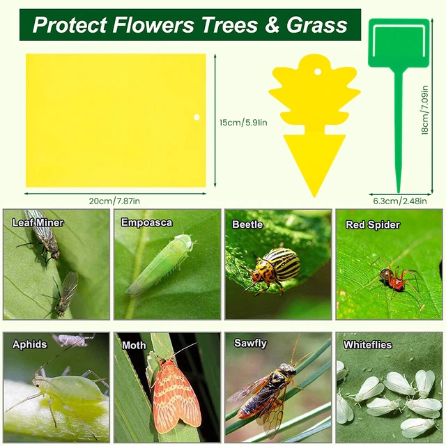 PLANT FLY CATCHER Sticky Insect Traps Glue Board Killer Plant ...