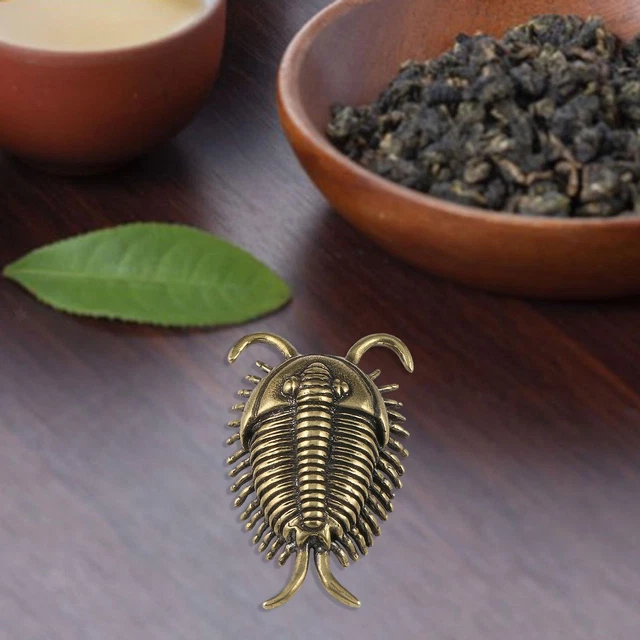 MINI FIGURINE TRILOBITE en laiton, ornement Trilobites, pour voiture ...